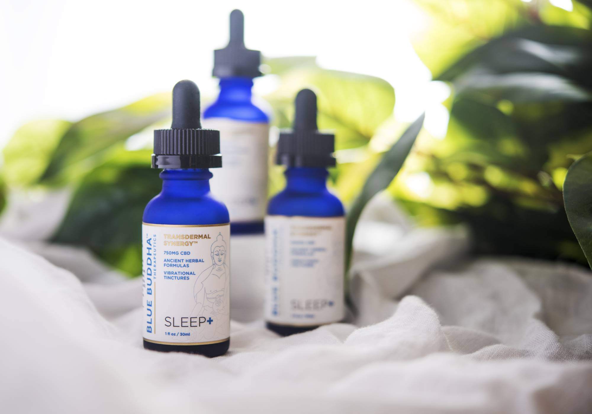 Sleep – Blue Buddha Therapeutics©